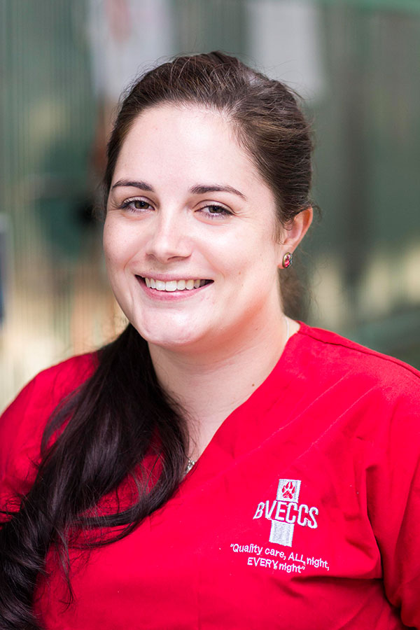 Amanda Reeve's Instagram, Twitter & Facebook on IDCrawl