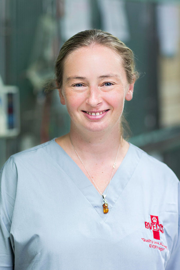 BVECCS Emergency Vets, 24 Hour Vet Hospital, Call (07) 3264 9400