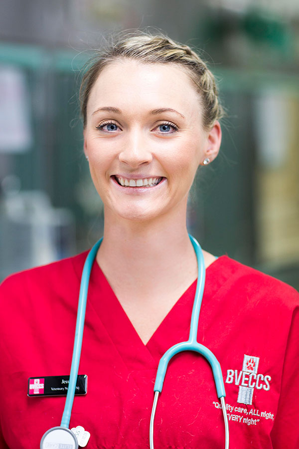 BVECCS, Experienced Vets and Vet Nurses 24 Hours For Emergencies