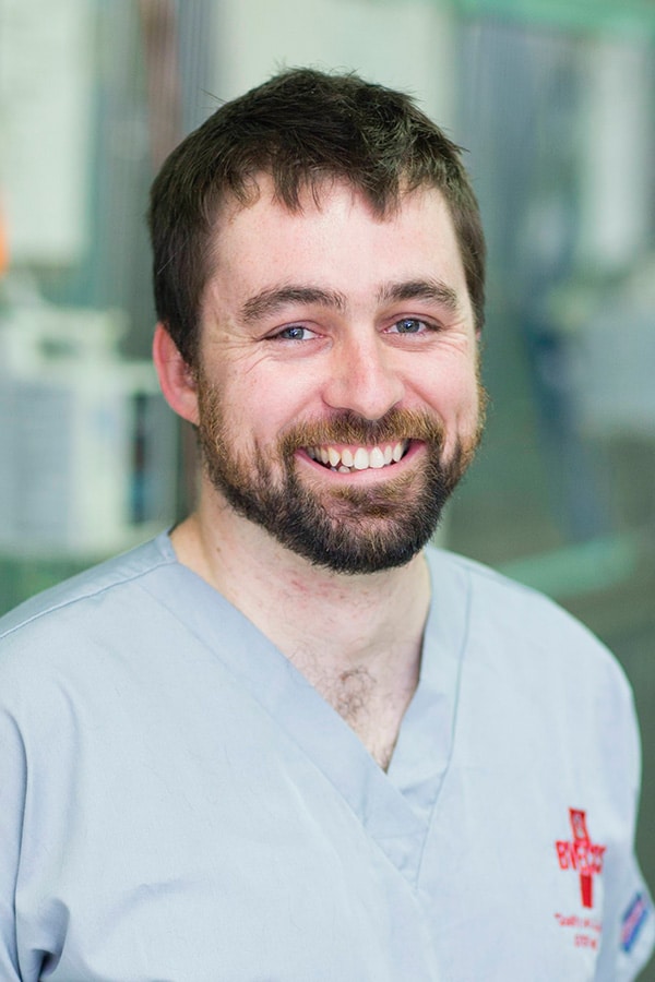 BVECCS Emergency Vets, 24 Hour Vet Hospital, Call (07) 3264 9400