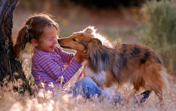 Why We Should Have Pets, Which Pets Should We Have? Children, Adults